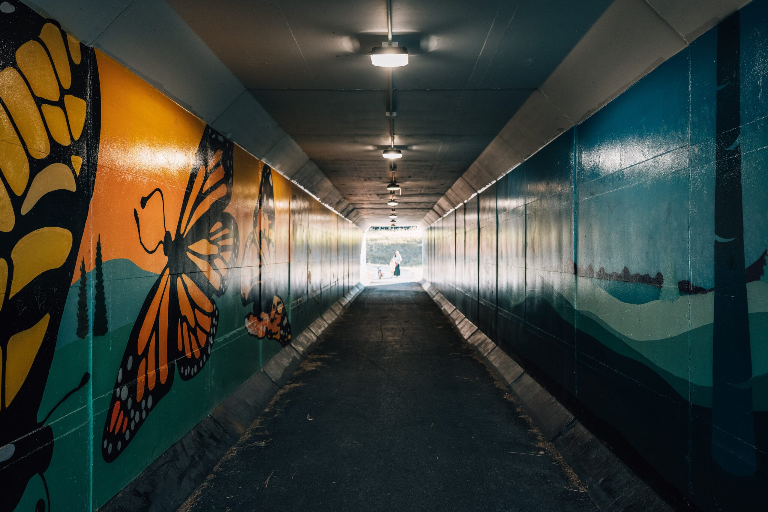 Sony RX1R III Sample Photos: Real-World Image Quality Gallery - Jerad ...