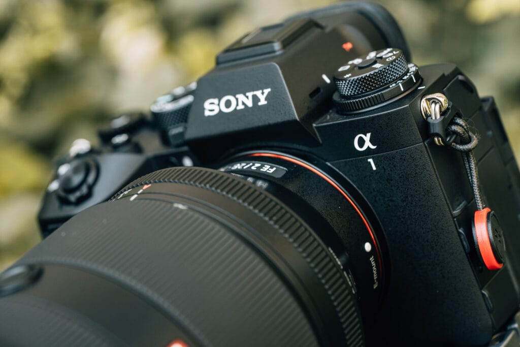 Sony A1 II Sample Photos: Professional Image Gallery - Jerad Hill ...